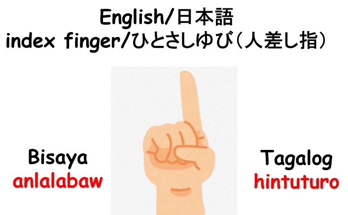 ビサヤ/セブアノ語 イラストで単語学習！【体の部位編】#2 手 英語/タガログ語/日本語併記 - 2nd life