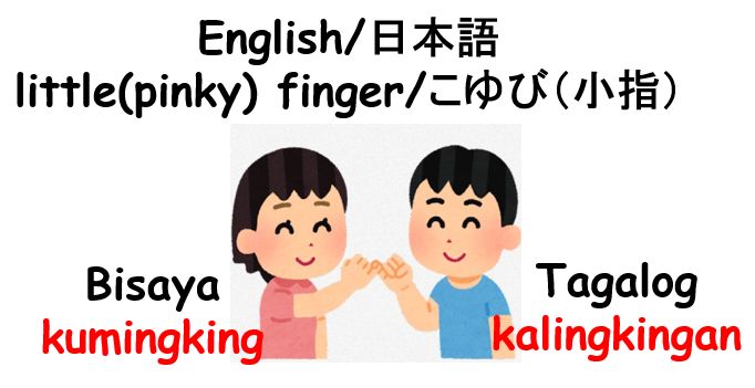 ビサヤ/セブアノ語 イラストで単語学習！【体の部位編】#2 手 英語/タガログ語/日本語併記 - 2nd life