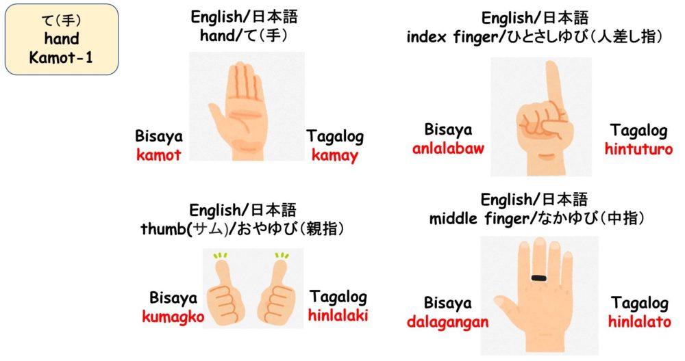 ビサヤ/セブアノ語 イラストで単語学習！【体の部位編】#2 手 英語/タガログ語/日本語併記 - 2nd life